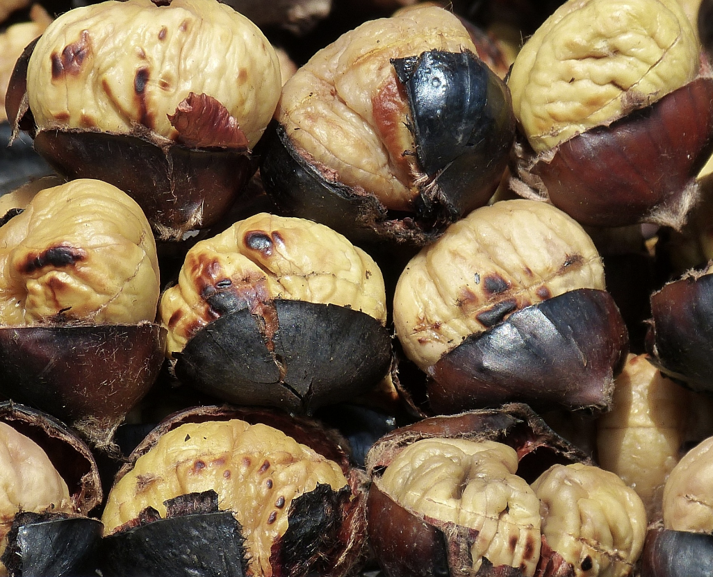 Castane coapte. Rețeta de acasă! - Sfaturi practice in amenajarea casei ...